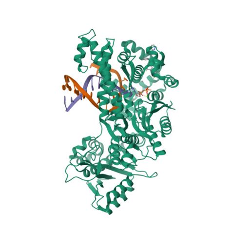 Rcsb Pdb 8e24 Human Dna Polymerase Theta In Complex With Allosteric Inhibitor