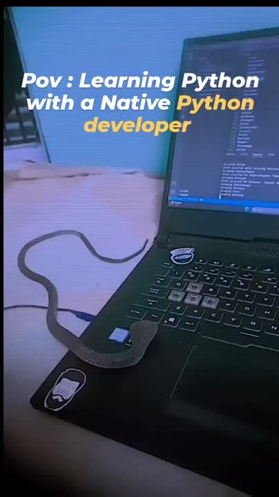Carry Ry On Linkedin Mention A Python Devloper Quickest Way To Learn