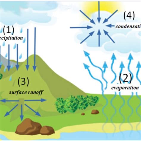 Heat Spread Over The Cellular Space Green Inert Brown Burning Download Scientific Diagram