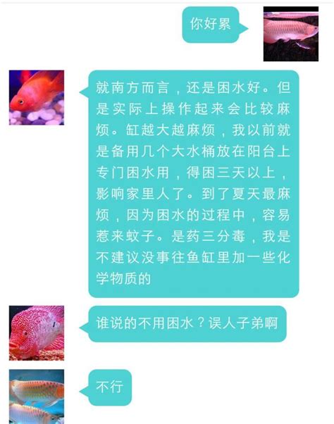 聽說養魚不用困水了？群里都嗨炸了 每日頭條