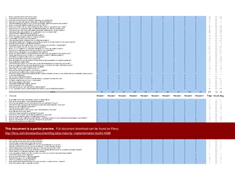 Big Data Maturity Implementation Toolkit Template Excel Xls