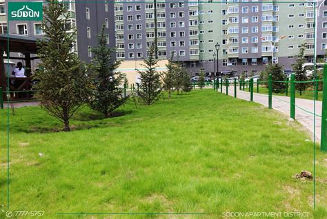 Содон Хороолол Содон стандарт цогцолбор хороололд