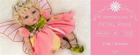 Meet Petal Pixie Paradise Galleries