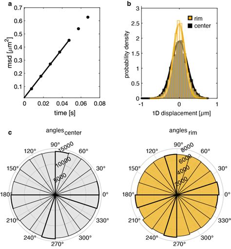 Characterization Of The Model System A Mean Squared Displacement Over