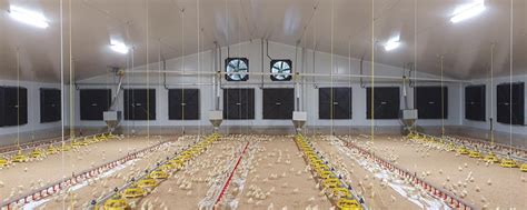 Efficient Poultry Ventilation Fancom