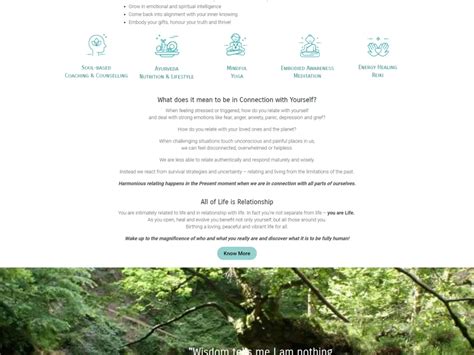 Wordpress Virtual Assistant Wordpress Support And Customization Upwork