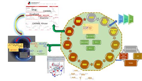 Challenge Project In Silico Design Of Selective Ribosomal Protein S6 Kinase Rsk2 Inhibitors