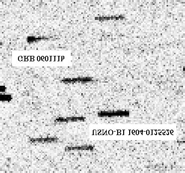 This Image Was Taken Between 28s And 88s After The GRB Trigger The Hour Download Scientific