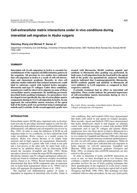 Pdf Cell Extracellular Matrix Interactions Under In Vivo Conditions During Interstitial Cell
