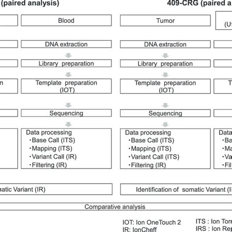Data Analysis Workflow Download Scientific Diagram