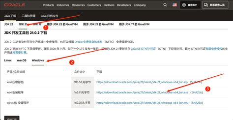 多个 Jdk 版本（java 8、java 17、java 21）下载和切换 Xd99 博客园