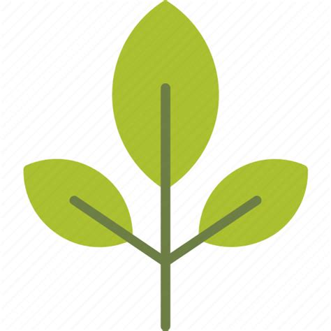 Branch Game Herb Item Leaf Organic Plant Icon Download On