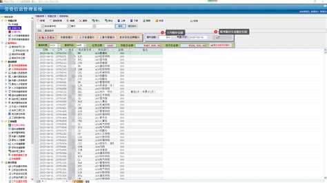 用Access开发劳资信息管理系统Access软件网