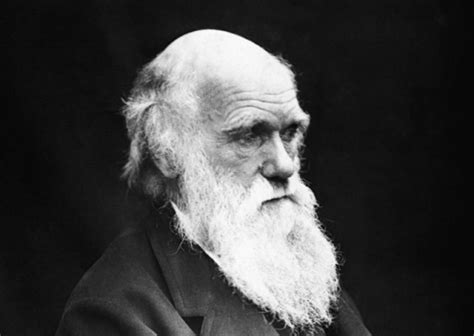 На аукција микроскопот на Чарлс Дарвин Ohridnews