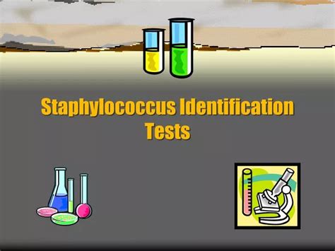 Ppt Staphylococcus Identification Tests Powerpoint Presentation Free