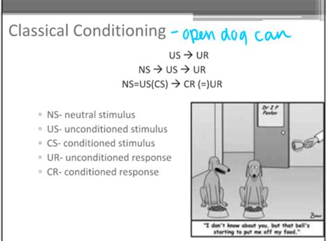 Principles Of Learning Flashcards Quizlet