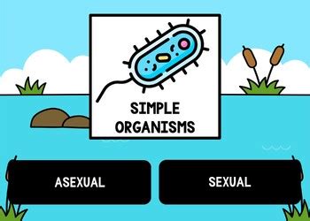 Asexual And Sexual Reproduction Science Boom Cards Digital Science Card Sort