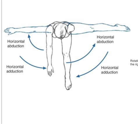 Week 3 Describing Movement Flashcards Quizlet