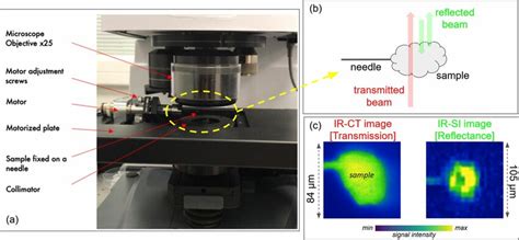 Ir Ct And Ir Si Principle Of Measurement A Description Of D