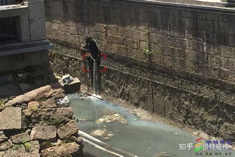 倍特威视排水口排水识别系统 知乎