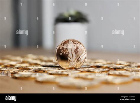 Digital Currency Physical Metal Bitcoin Coin On The Gold Money
