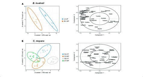 Partial Least Square Discrimination PLS DA Score And Loading Plots Download Scientific