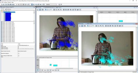 Data Viewer For Eyelink Eye Tracker Gaze Data Sr Research