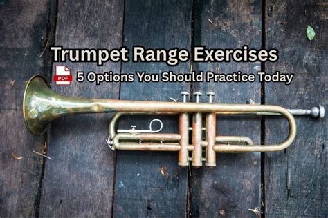 12 Best Trombone Brands Manufactures Reviews N Ranks 2025