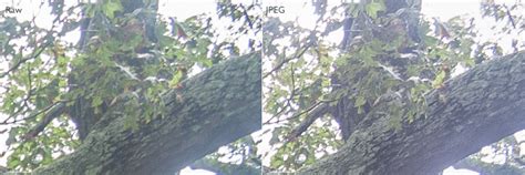 Why Bit Depth Matters Mastering Lightroom