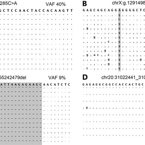 Alignment Views Of Four Variants Detected By Ngs Each Panel Depicts A Download Scientific
