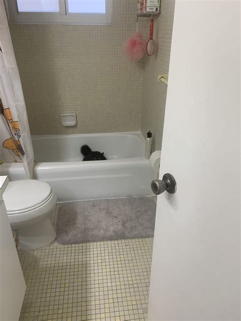 Completely Empty Bathtub Rthereisnocat