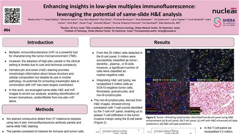 Enhancing Insights In Low Plex Multiplex Immunofluorescence Leveraging