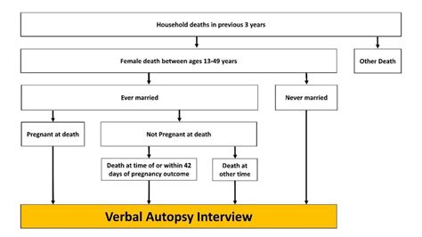 1 Verbal Autopsy Determinations Download Scientific Diagram