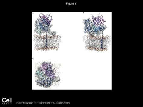 Volume 14 Issue 8 Pages April 2004 Ppt Download