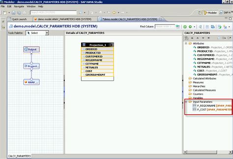 input paramters configuration for analytic view an sap community