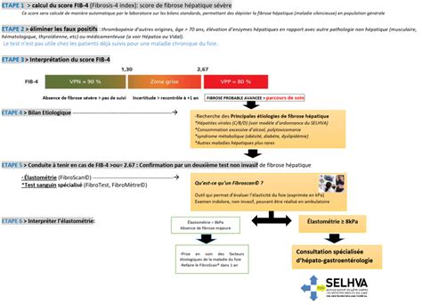 Analyse Du Score Fibrosis 4 Fib 4 Les Hôpitaux Universitaires De Strasbourg