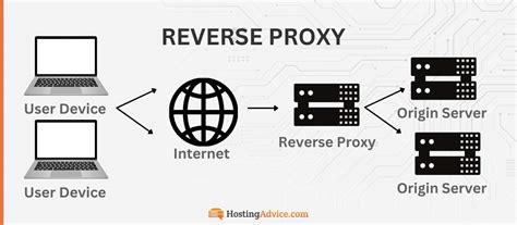 What Is A Reverse Proxy Why Reverse Proxies Are Essential For Modern