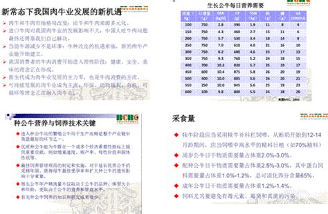 参加山西肉牛生产性能测定技术培训心得