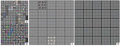 Visualization Of Convolutional Kernel Receptive Field Maps In 80 For