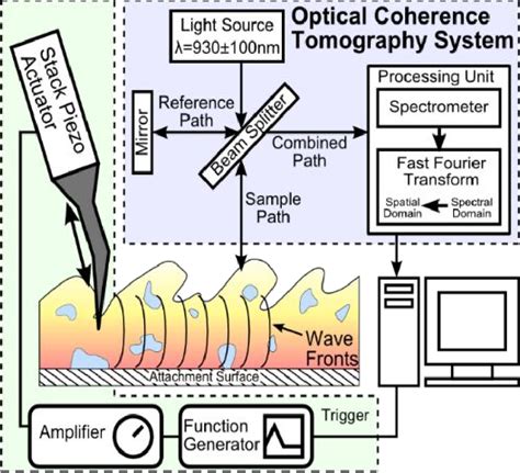 Figure 1 From Nondestructive Characterization Of Soft Materials And