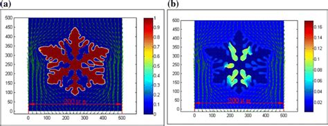 Pfm Simulation Of The Dendrite Growth Pattern Affected By Flow Field A
