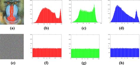 Baboon A Plain Image B C Plain Image Layers Histogram E Enciphered