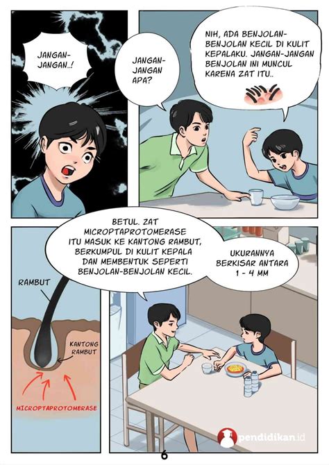 Makan Makanan Pedas Bikin Gatal Di Kepala Aman Atau Bahaya Simak Faktanya Dalam Komik