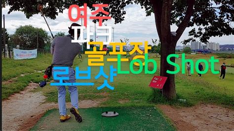 파크골프 로브샷 모음 Lob Shot 여주 파크골프장 Youtube