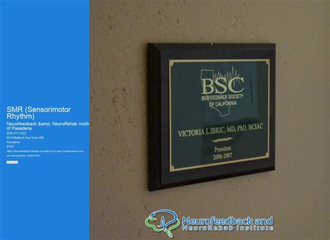 Smr Sensorimotor Rhythm