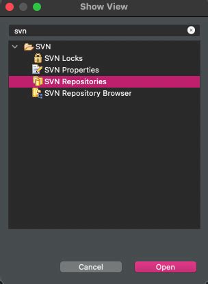 Eclipse Svn Svn