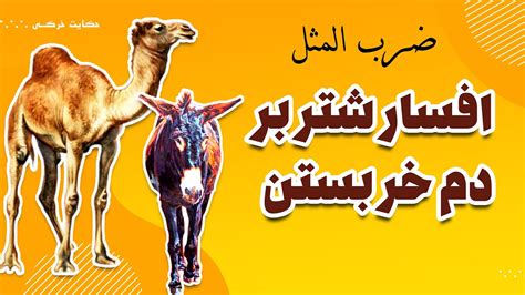 داستان ضرب المثل افسار شتر بر دم خر بستن سپردن کار به مسئولین نالایق