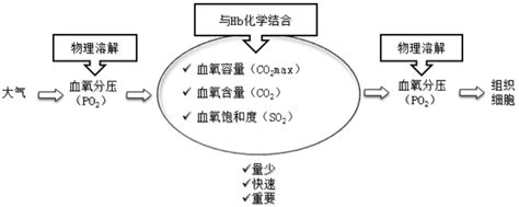 病理生理学缺氧学习资料分享 知乎