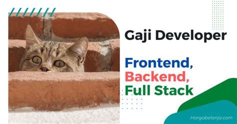Berapa Gaji Developer Frontend Backend And Fullstack Harga Belanja