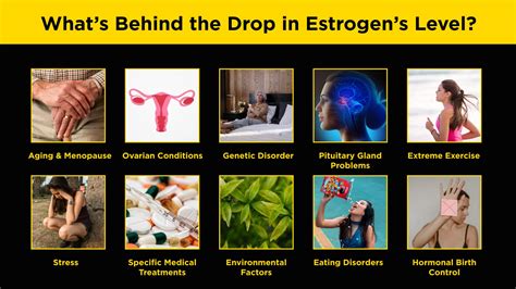 Recognizing Low Estrogen Symptoms And Seeking Solutions